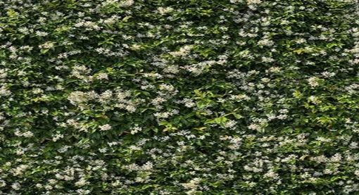 Gelsomino Porcelain - Spaulding Cladding